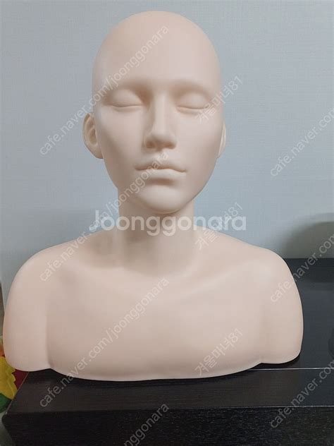 데콜테마네킹 가발 기타용품 중고나라