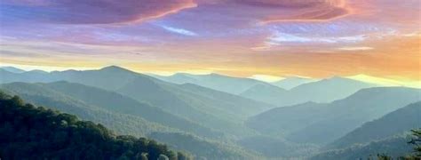 Texas Jams Bay Area Bluegrass Association