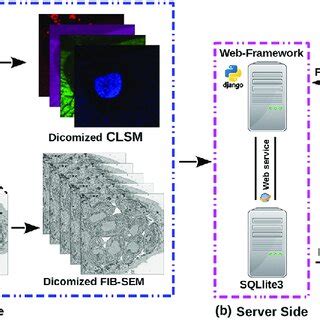 Framework For An Interactive 3D Viewer A Acquisition Of