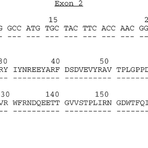 a the dna sequence of dqb1 03 151 is identical to dqb1 03 01 01 01