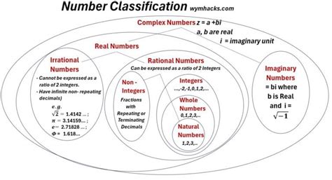 Number Classifications Wymhacks