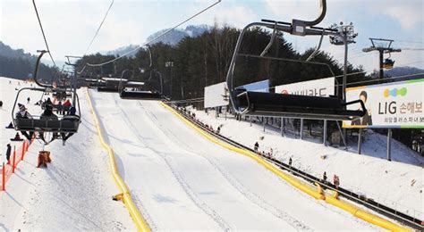 Yongpyong Ski Resort And Getting There Koreatodo