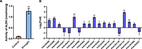 The Activity And Expression Of Aldh In Response To Drought Stress A