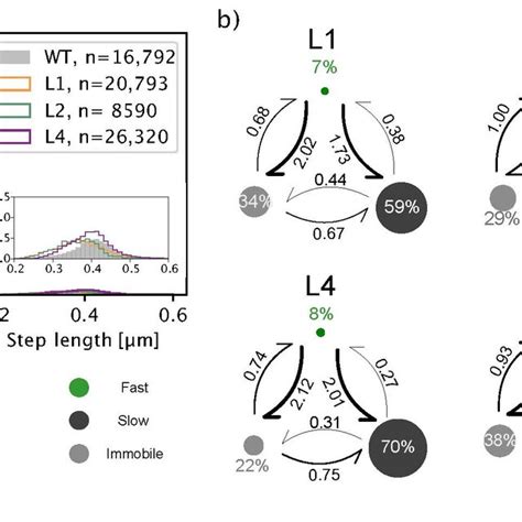 Example Stage And Galvo Single Particle Trajectories A Example