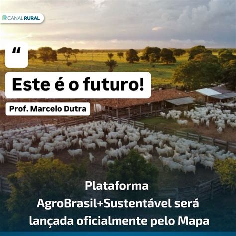 Desenvolvimentosustentavel Sustentabilidade Agronegocio Descarbonização Carbonozero