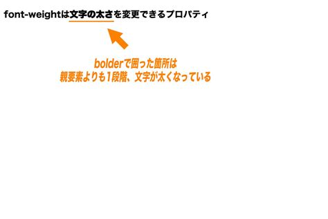 【css Font Weightの使い方】文字の太さの変更方法 Webst8のコードブログ