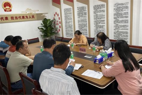横沥镇开展人大代表常态化进社区联系群众活动 广州市南沙区人民政府门户网站