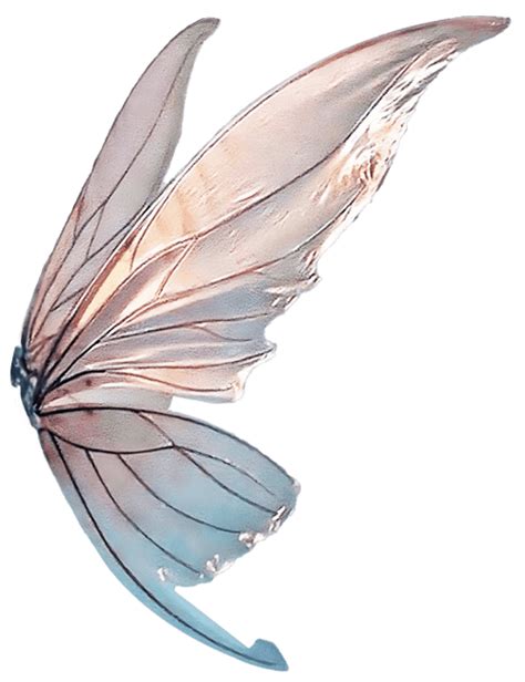 صفحه اصلی آریل دریم