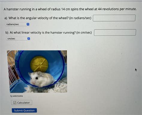 [university Math Pre Calculus] R Homeworkhelp