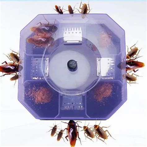 Cockroach Traps Box Cockroach Bug Roach Catcher Cockroach Killer At ₹ 8100 Cockroach Trap