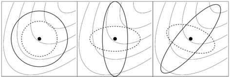 Different Distributions Given By The Same Mean Vector But Different Download Scientific Diagram