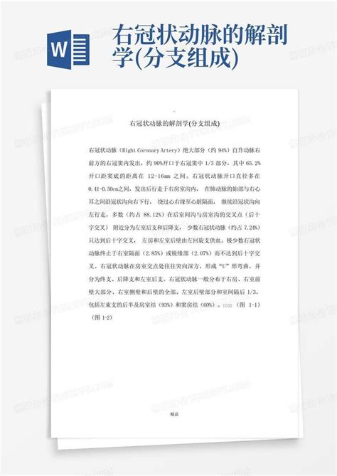 右冠状动脉的解剖学 分支组成 Word模板下载 编号lmkgybzw 熊猫办公