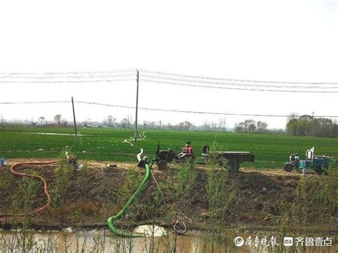 累计农业引黄河水109亿立方米！济南抗旱春灌工作基本结束