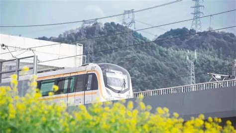 报名｜2024杭州临安半程马拉松今日1000报名启动！ 嗨跑体育官网