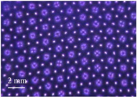 Image Of The Discharge Pattern With An Exposure Time Of 40 Ms Download Scientific Diagram