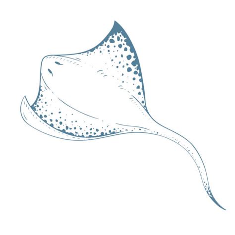Manta Ray Silhouette Illustrations Royalty Free Vector Graphics And Clip