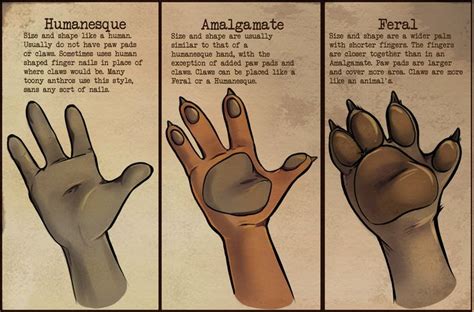 Anthro Hands By Coffinberry On Deviantart Paw Hand How To Draw Hands