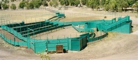 Large Cattle Ranch Handlingsortingand Weighing Facility Deesing