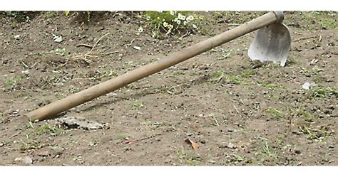 Как да се подготвим за есенна обработка в лозето Български Фермер