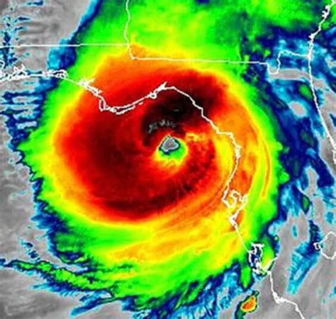 Hurricane Recovery Resources From St Pete Chamber Members St