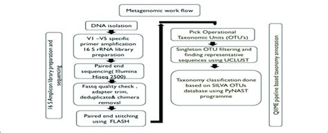 Pipeline For Metagenomics Analysis Download Scientific Diagram