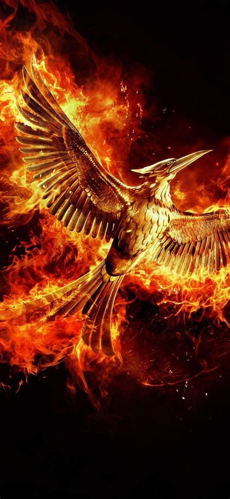 Minimalist Phoenix Wallpapers Top Free Minimalist Phoenix Backgrounds