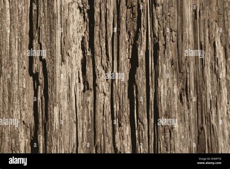 Old Cracked Wood Texture Grunge Background Stock Vector Image Art Alamy