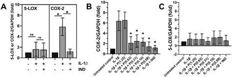L 1b Mediates Signaling Via Cox 2 In Human Dental Pulp Cells A Download Scientific Diagram