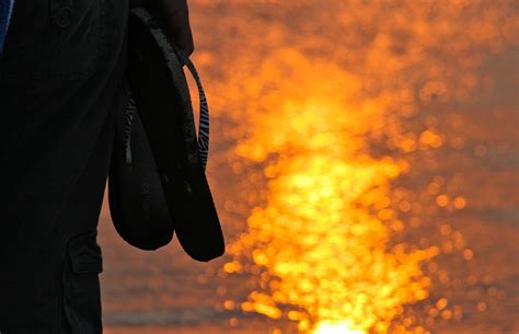 Bill Oddie In The Usa Makan Films