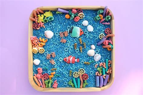 Ocean Reef Sensory Kit Coral Kingdom Ocean Sensory Bin Coral Reef