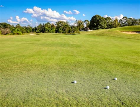 Cc Golf Times