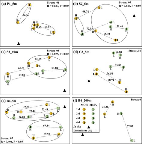 Nonmetric Multidimensional Scaling Nmds Ordination Based On