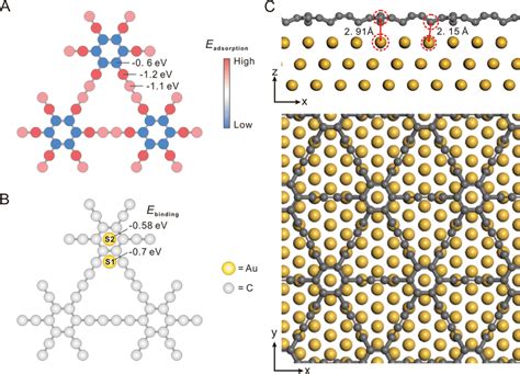 DFT Calculations Of Interactions Between GD Carbon Atoms And Au Atoms Download Scientific