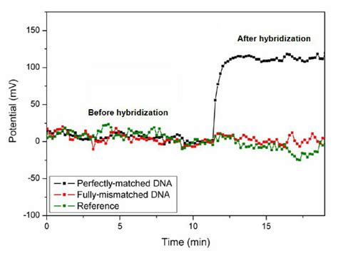 Dna Hybridization Detection By Means Of The Eisoi Sensor In