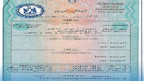 خطوات استخراج شهادة الميلاد المميكنة اعرف الرسوم وأماكن الخدمة الأسبوع
