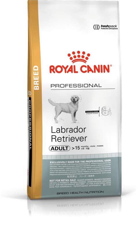 Labrador Retriever Adult - ROYAL CANIN® Professionals