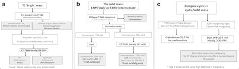 Flow Charts With Revised Algorithm For T1 ‘bright Masses A T2 Solid