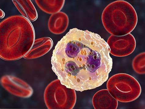 Conoce Los Métodos Efectivos Para Reducir Los Leucocitos Altos En