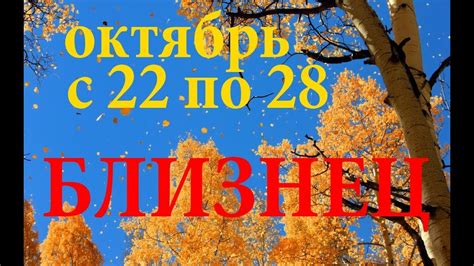 БЛИЗНЕЦЫ ТАРО ПРОГНОЗ на НЕДЕЛЮ с 22по28 ОКТЯБРЯ Youtube