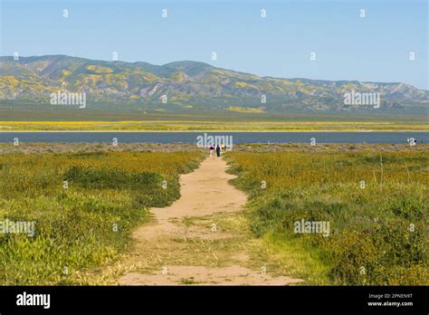Lac De Soude Californie États Unis 10 Avril 2023 Le Sentier Qui
