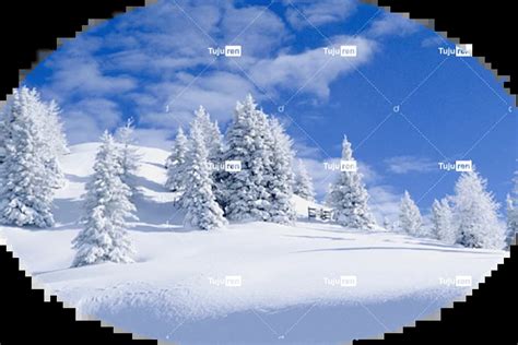 冬至卡通 花瓣网