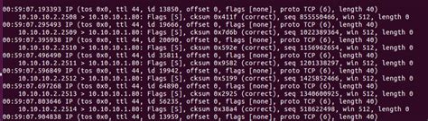 How To Set Random Ttl Value · Issue 4 · Emreovuncpython Syn Flood