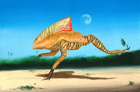 Speculative Evolution Photo