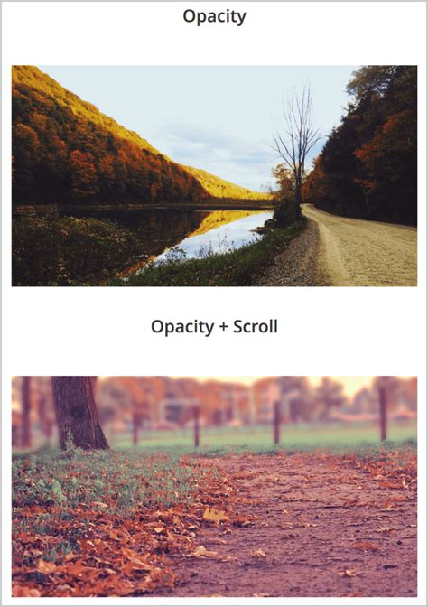 How To Reverse Column Order In Magezon Page Builder Magezon