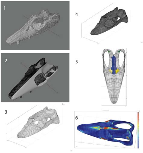 Workflow From Laser Scanning To Finite Element Analysis 1 The Base Download Scientific Diagram