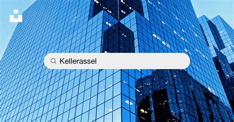 Bilder Zum Thema Kellerassel Kostenlose Bilder Auf Unsplash Herunterladen