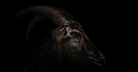 La Visita Del Nahual Historia De Terror 2023 Historias De Terror