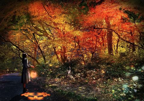 Naked Autumn Night Garden At Shinjuku Gyoen Evening Ticket Tokyo