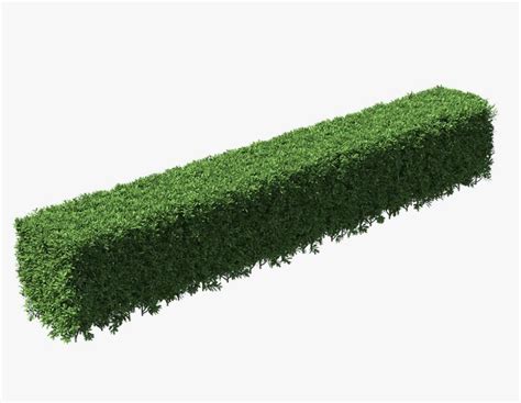 Long Rectangular Hedge With Grass