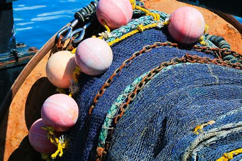 Bornstein Seafoods Hissho Sushi